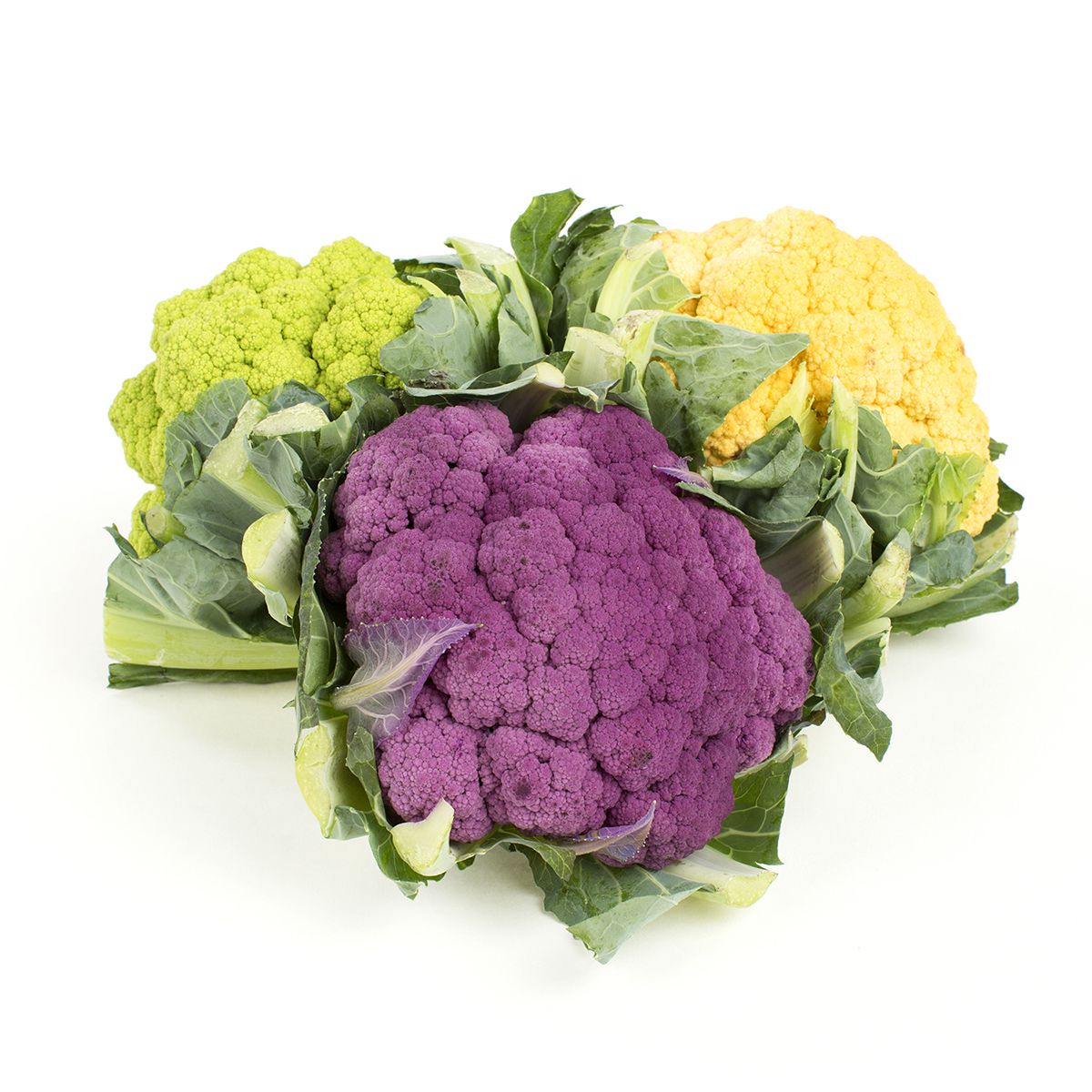 Hilite Fine Foods - Baby Vegetables